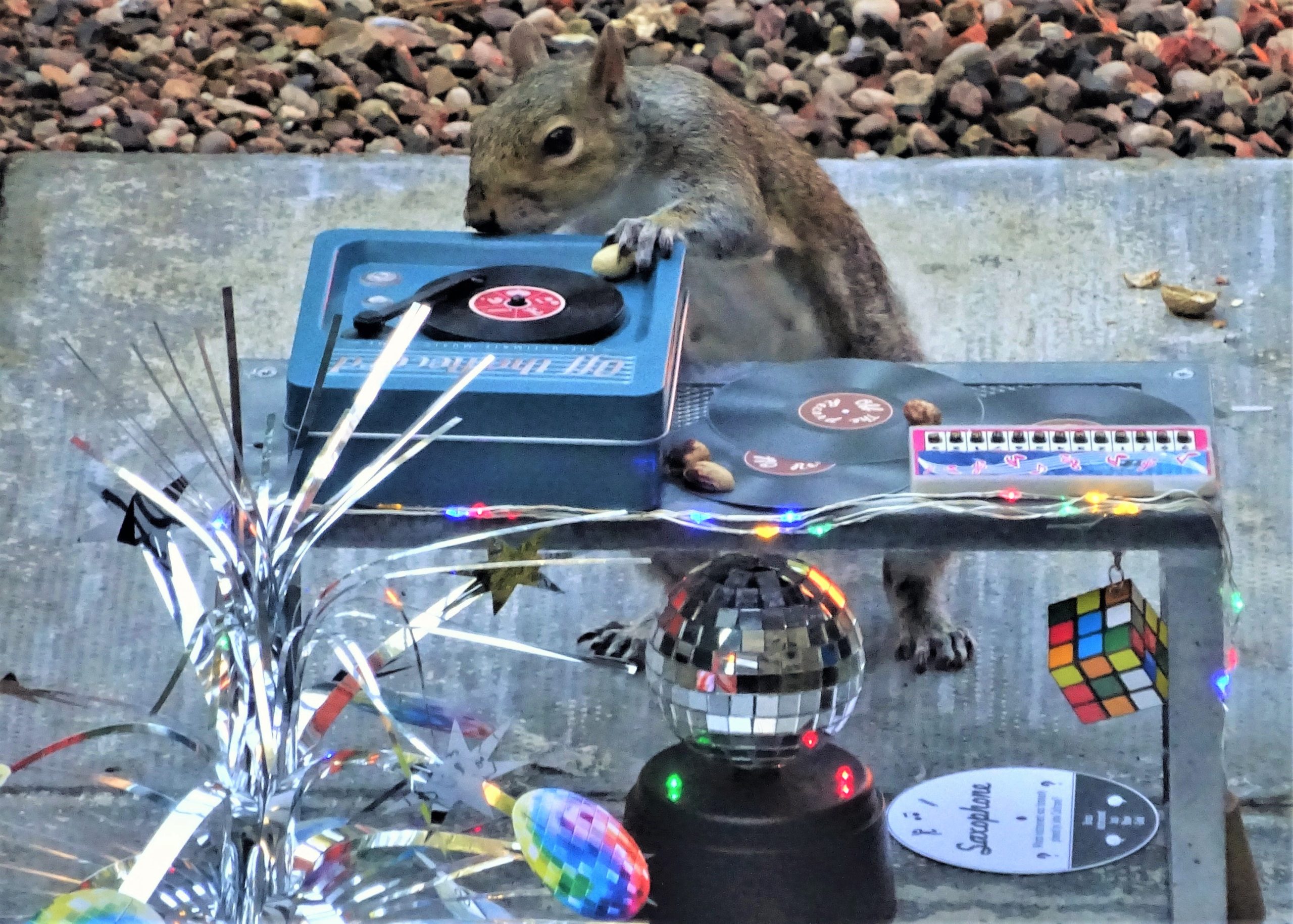 Shielding woman uses surprising little subjects to raise money for AMH ...